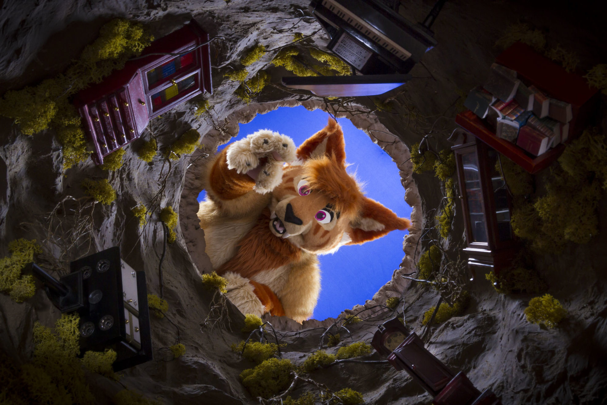 Photoshoot » ConFuzzled