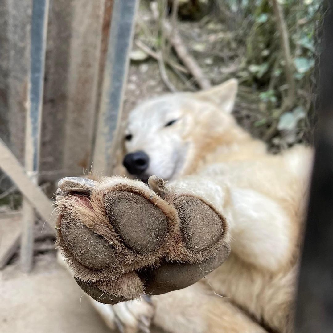 Charity » ConFuzzled